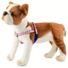 XXSmall American Daisy Freedom No-Pull Harness 13