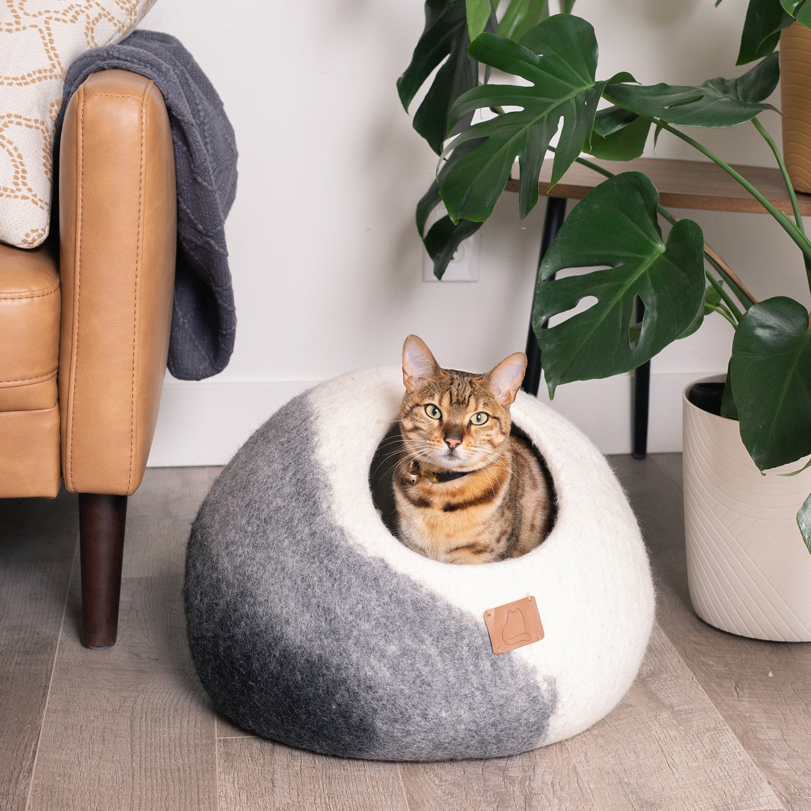 Fade Design | Round Style Cave | Fuzzy Cove - Southlake Paws Couture
