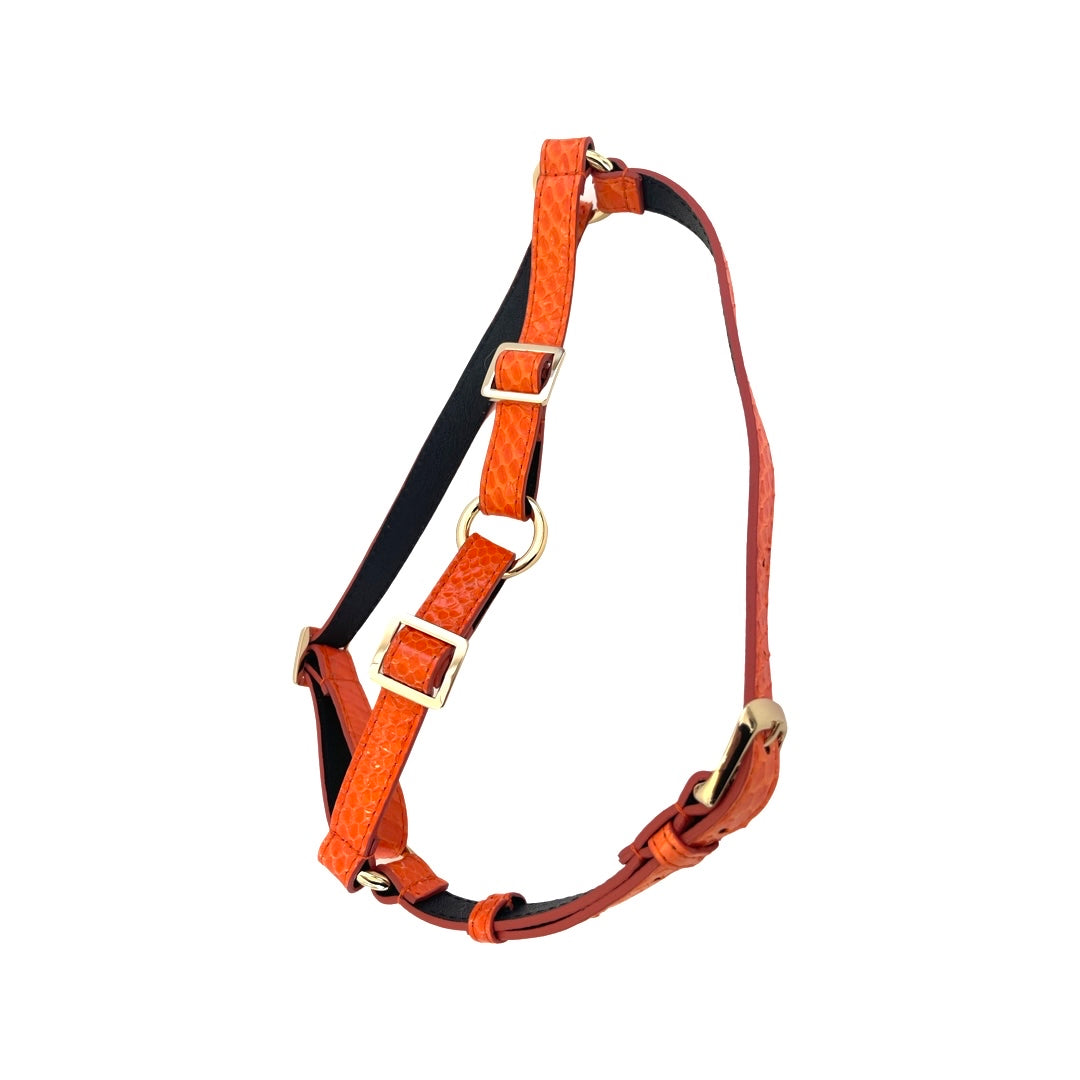 Orange Snake Harness | Allysa Payne Beverly Hills - Southlake Paws Couture