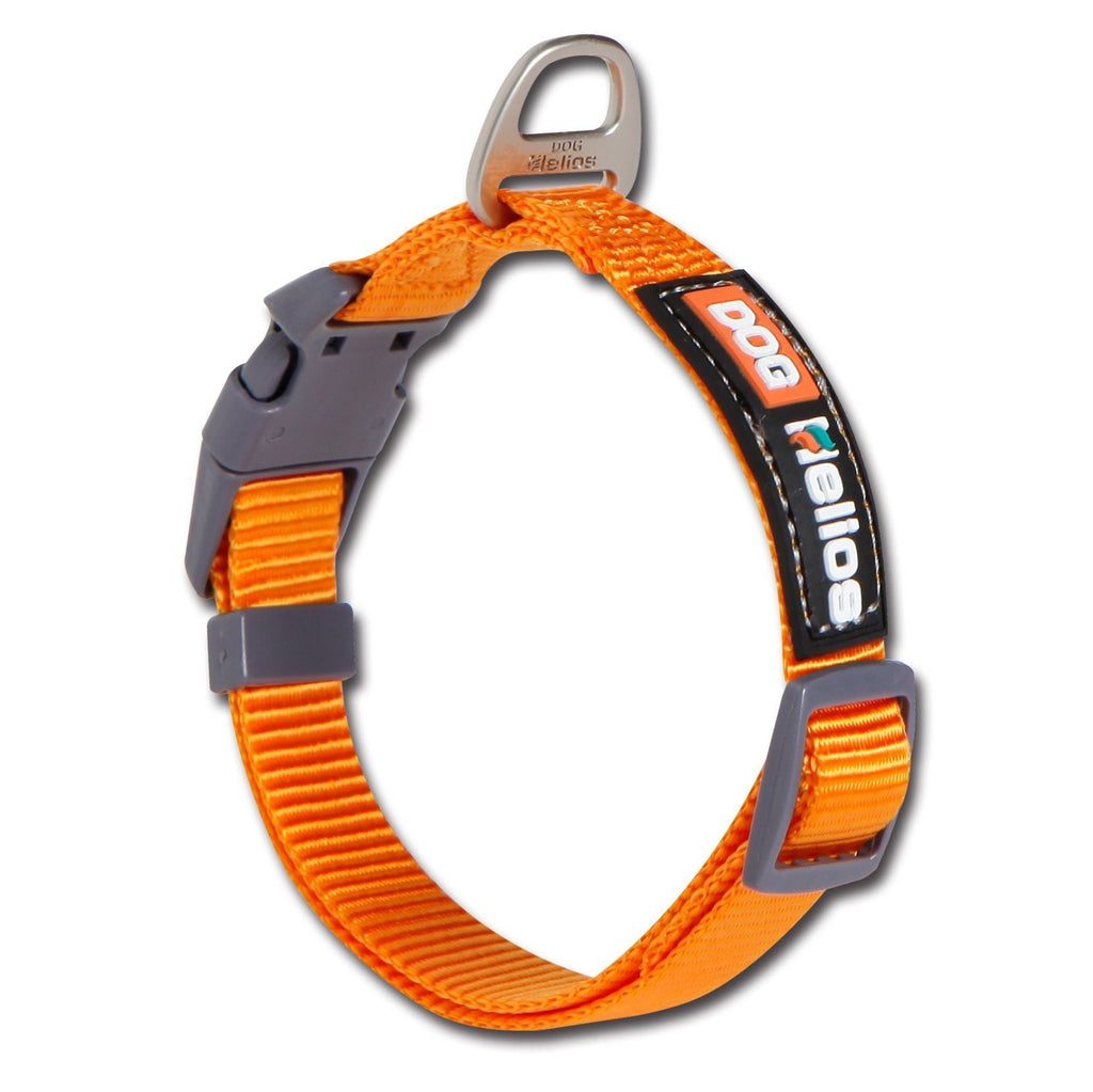 Home Dog Helios Sporty Nylon Leash and Collar